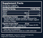 marine collagen powder for joints