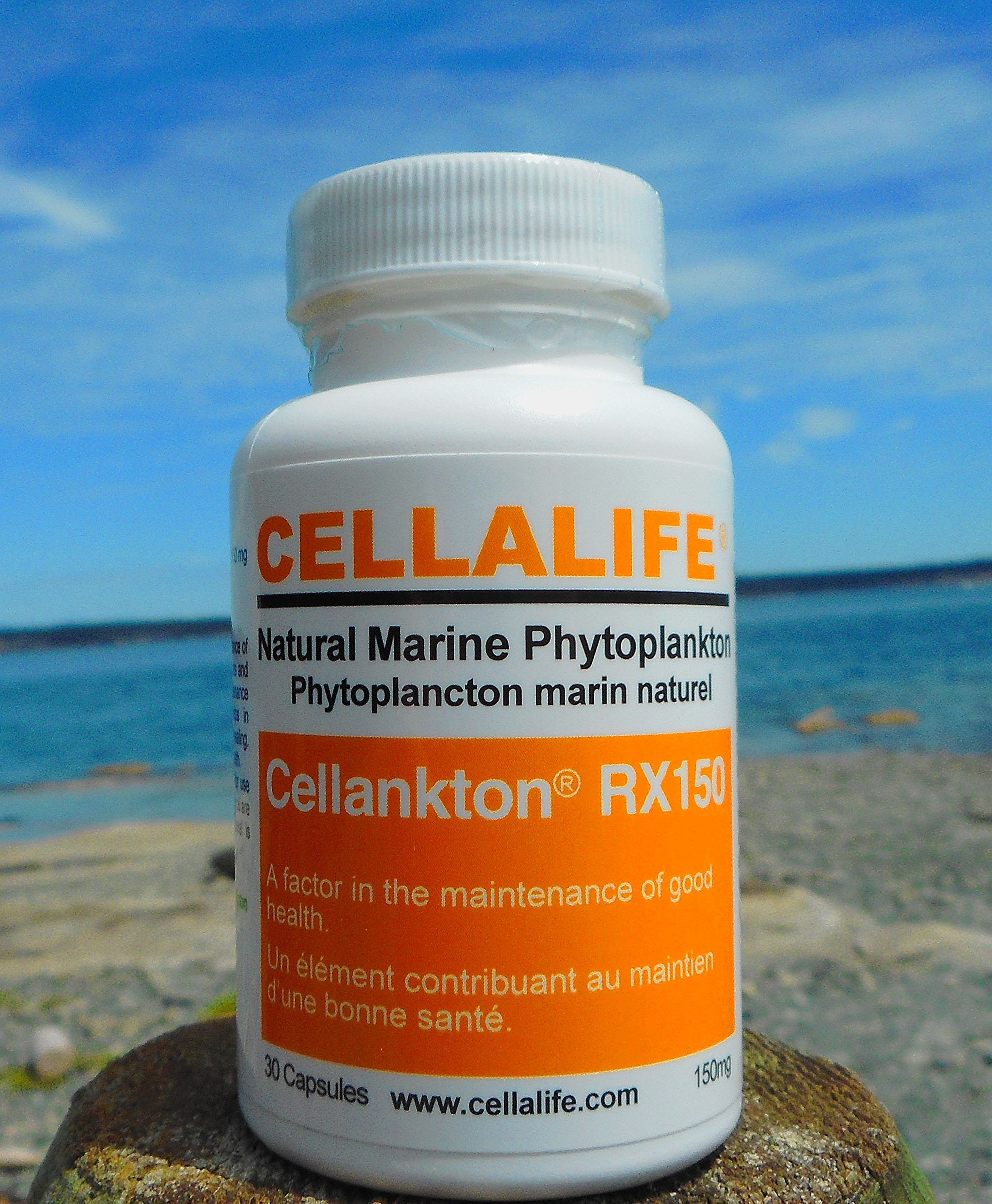 marine phytoplankton health benefits