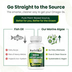 Marine Phytoplankton multivitamin for men