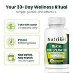 Marine Phytoplankton Omega 3 for brain support
