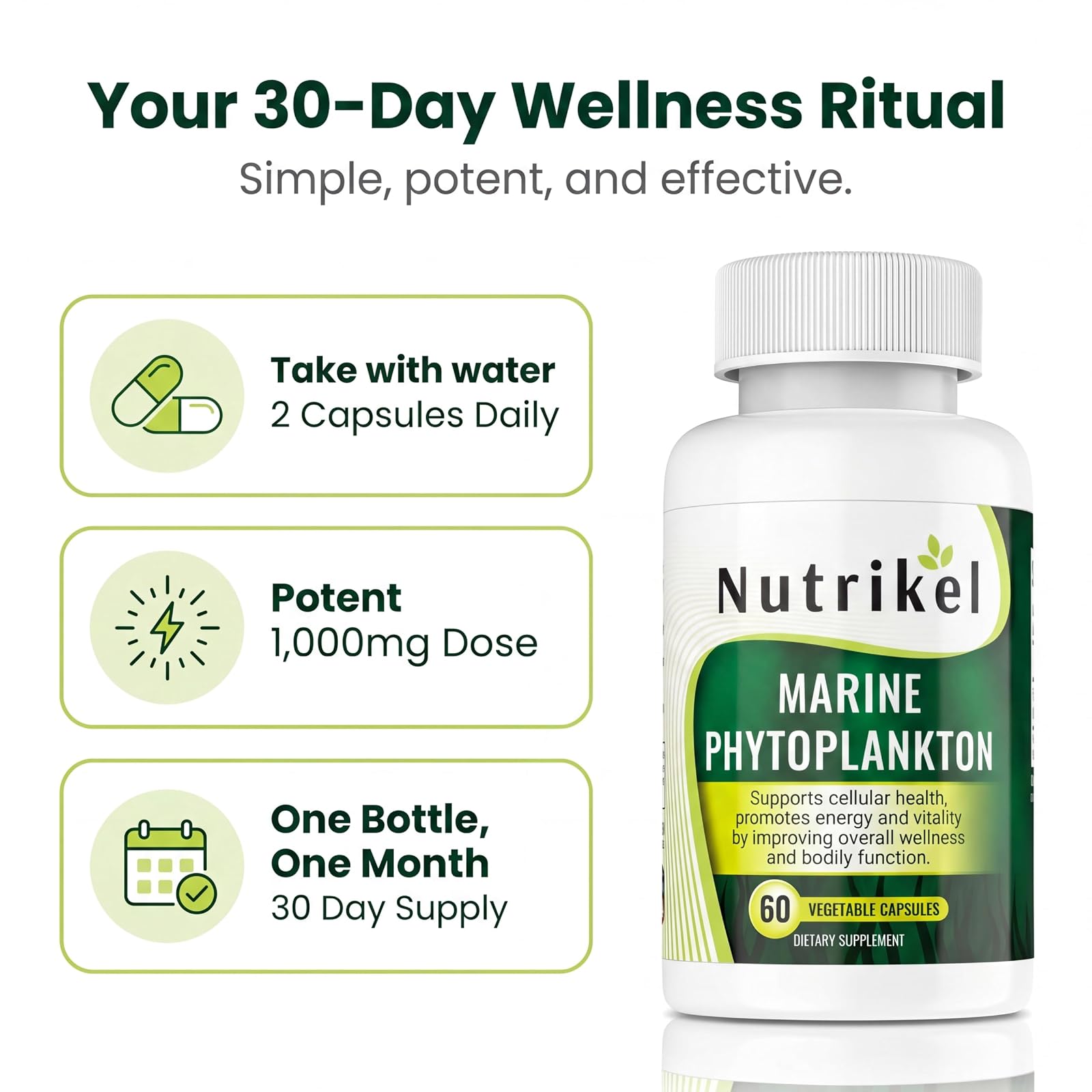 Marine Phytoplankton Omega 3 for brain support