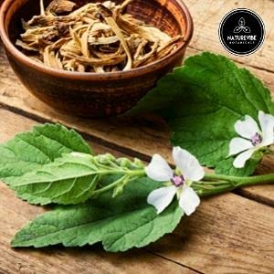 marshmallow root extract for soothing