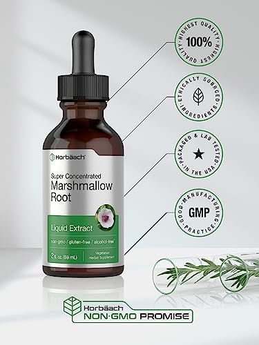 marshmallow root for digestive health