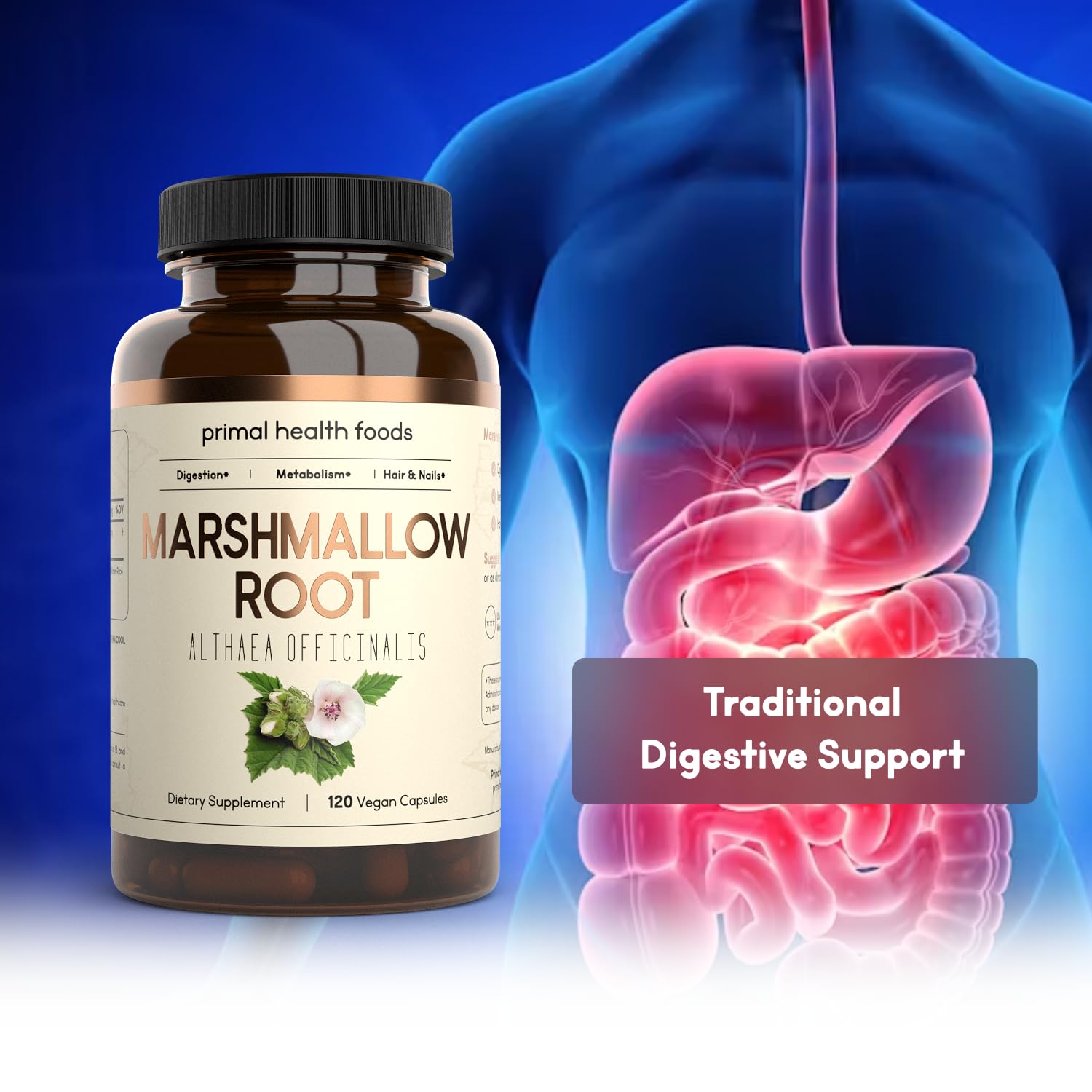 marshmallow root for gut health
