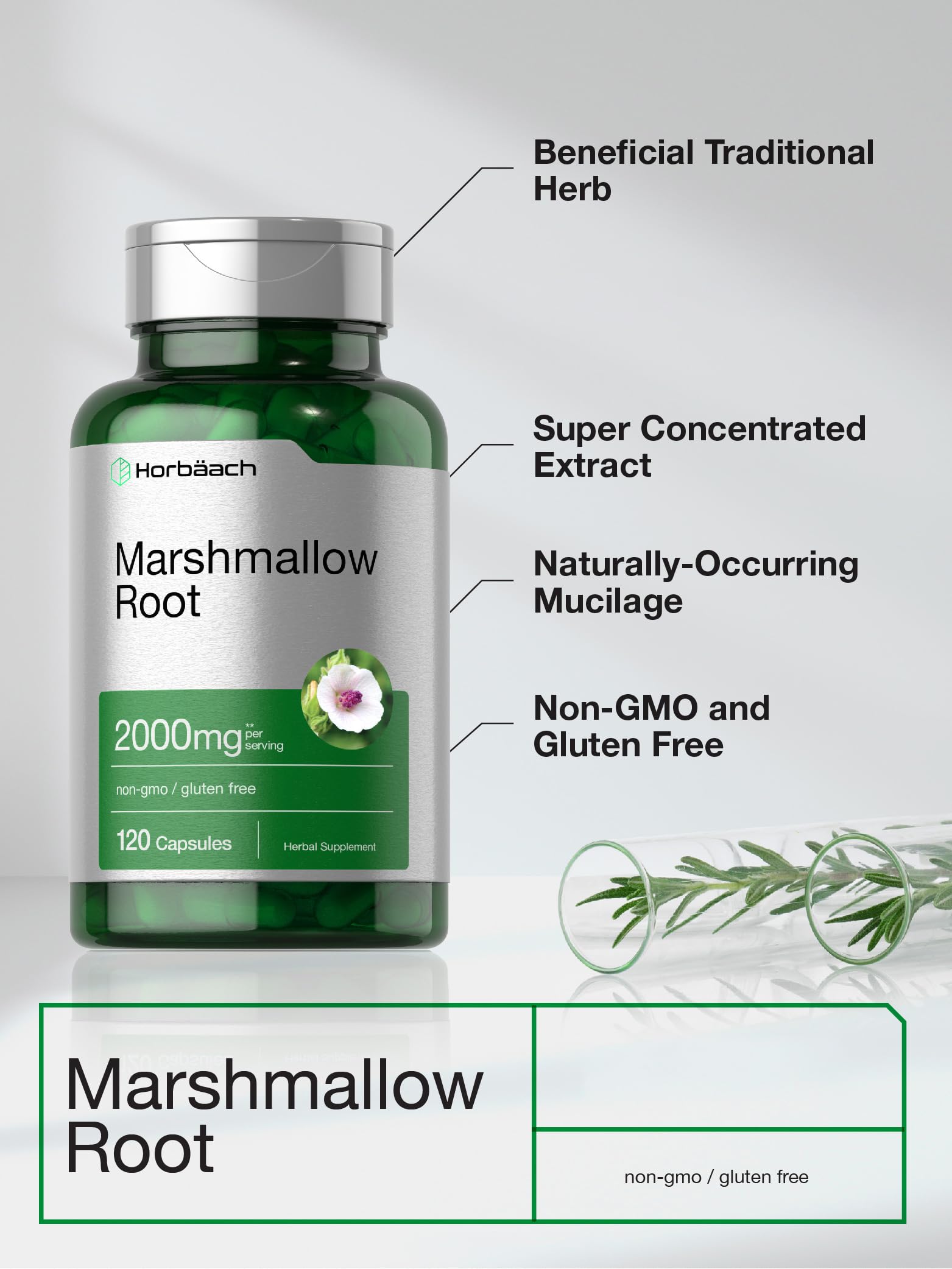 marshmallow root for respiratory health