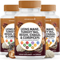 marshmallow root supplement for wellness