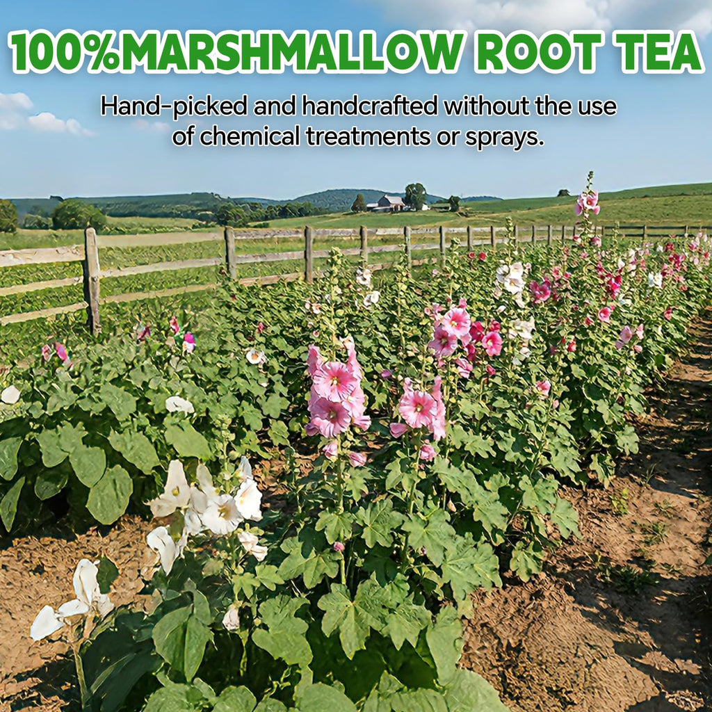 marshmallow root tea for hydration