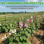 marshmallow root tea for hydration