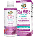MARYRUTH'S elderberry immune support supplement