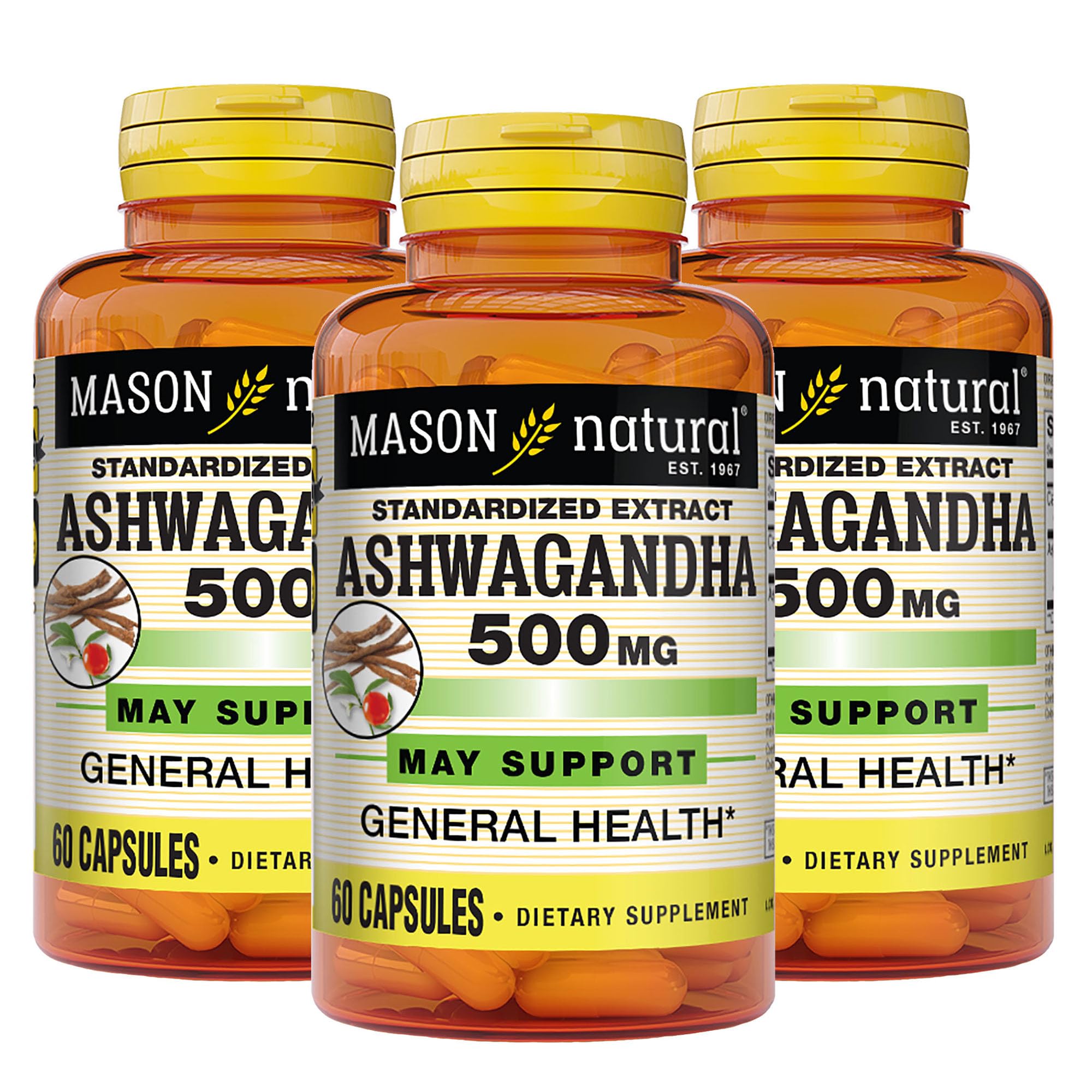 Mason ashwagandha supplement for stress relief
