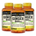 Mason ginger capsules for wellness