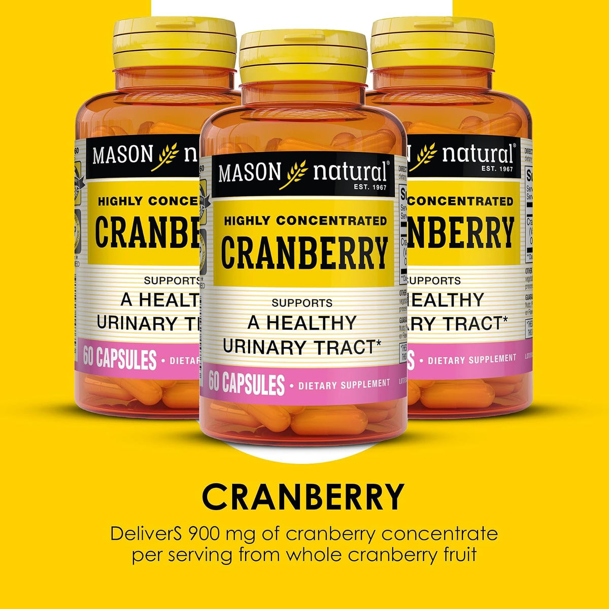 Mason Natural Cranberry antioxidant support