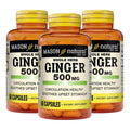 Mason Natural ginger tea capsules
