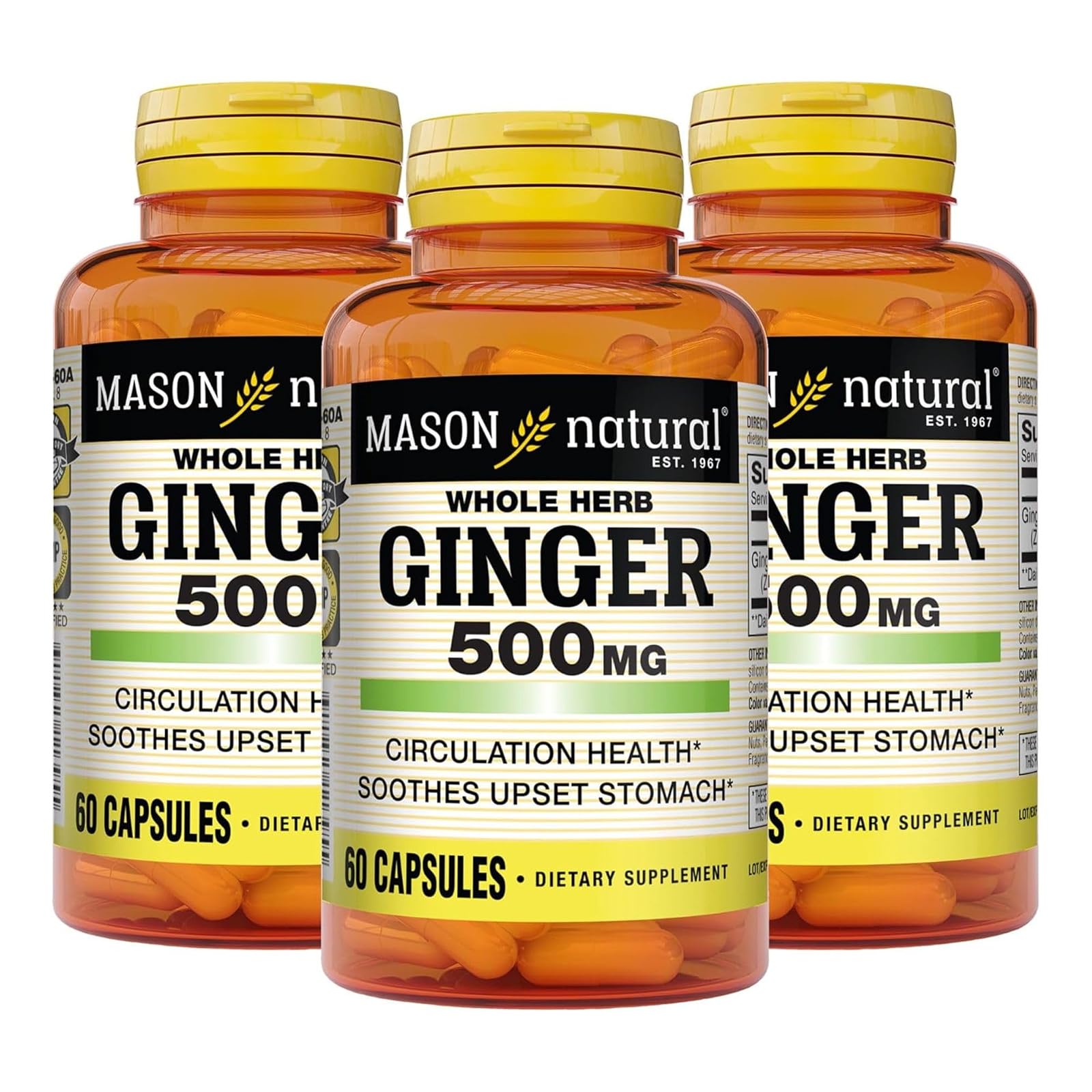 Mason Natural ginger tea capsules