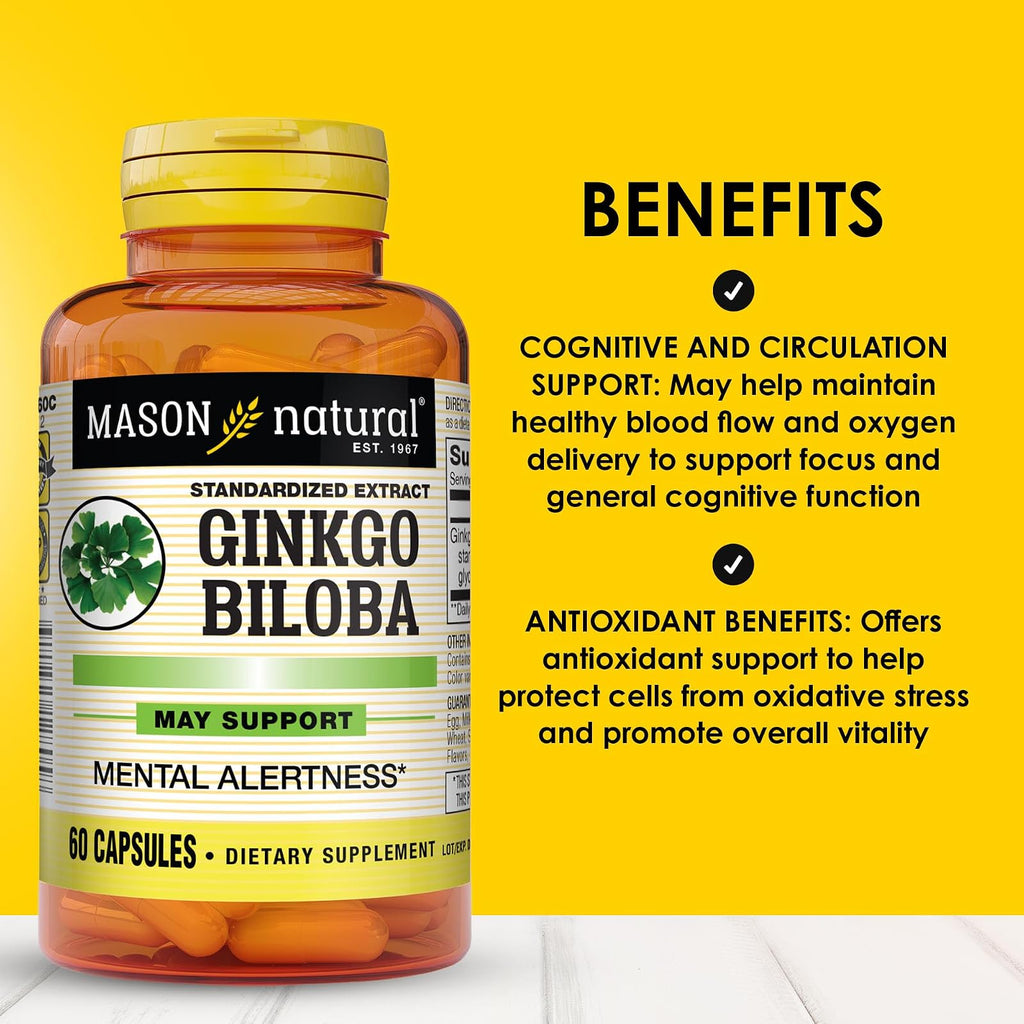 Mason Natural ginkgo biloba 120 mg