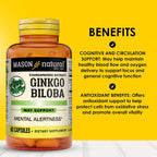 Mason Natural ginkgo biloba 120 mg