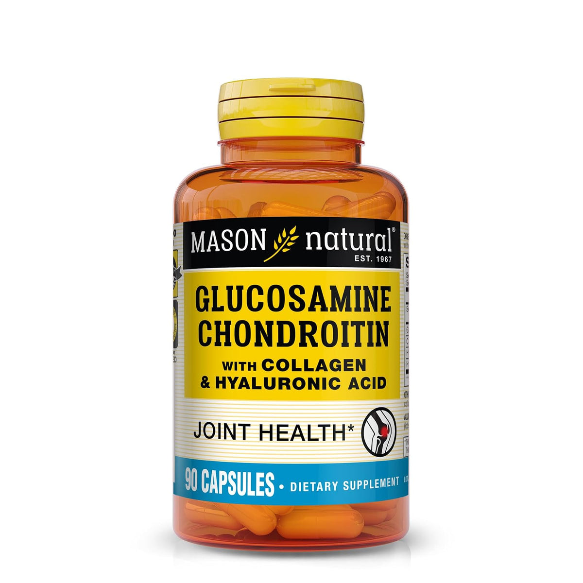 Mason Natural glucosamine chondroitin capsules