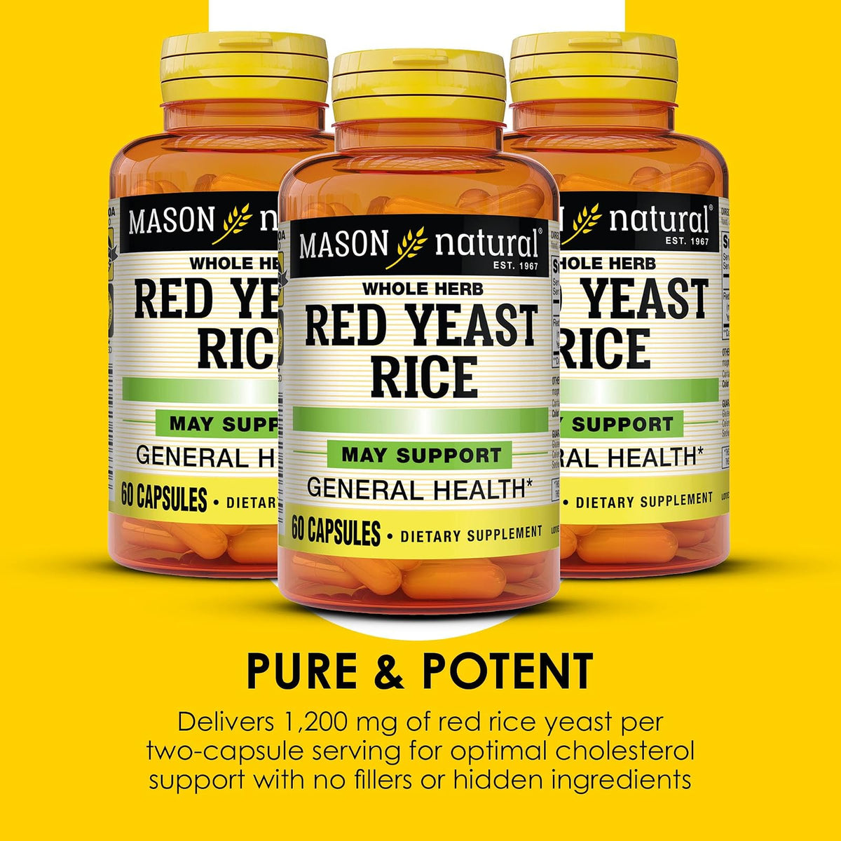 Mason Natural herbal dietary aid