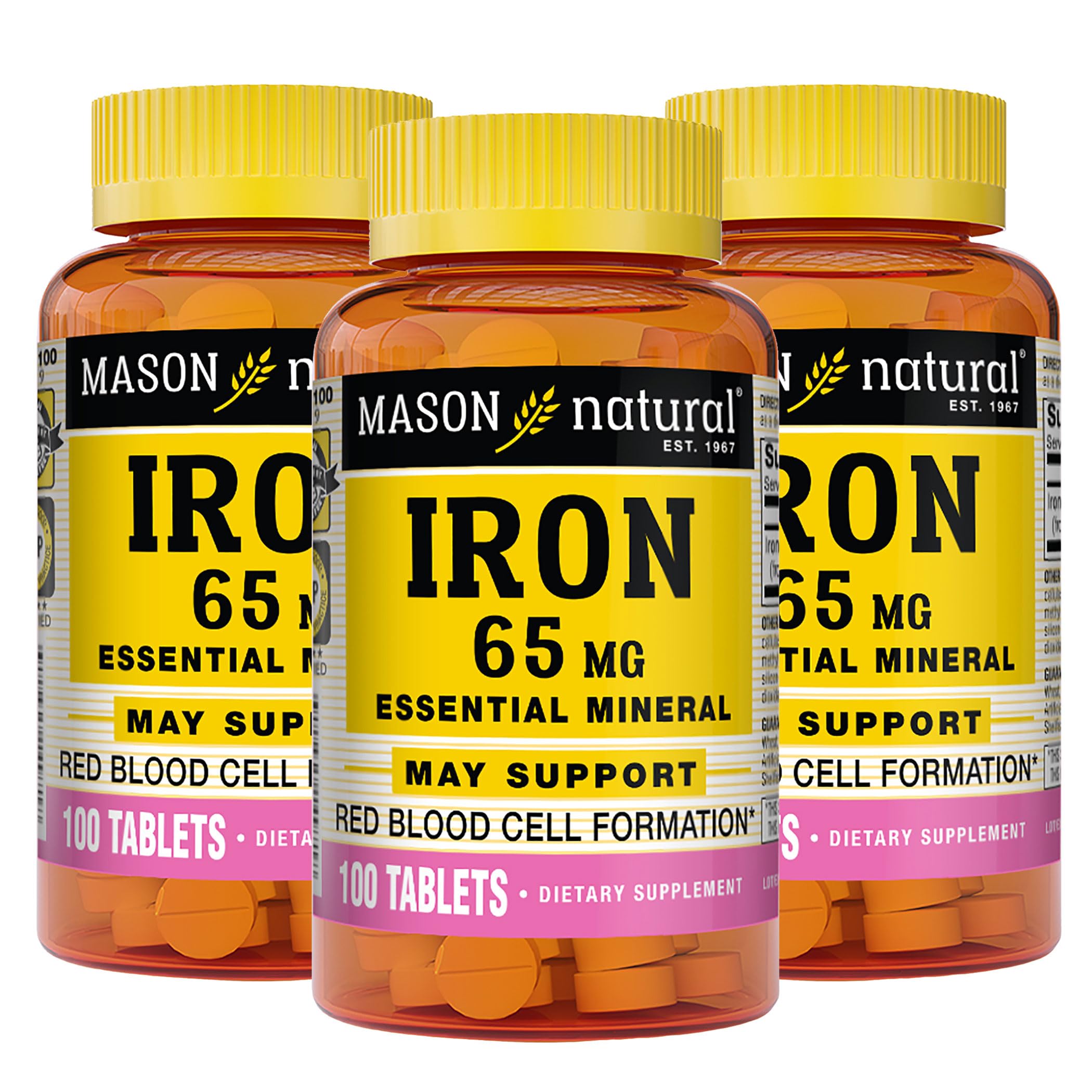 Mason Natural iron supplement tablets