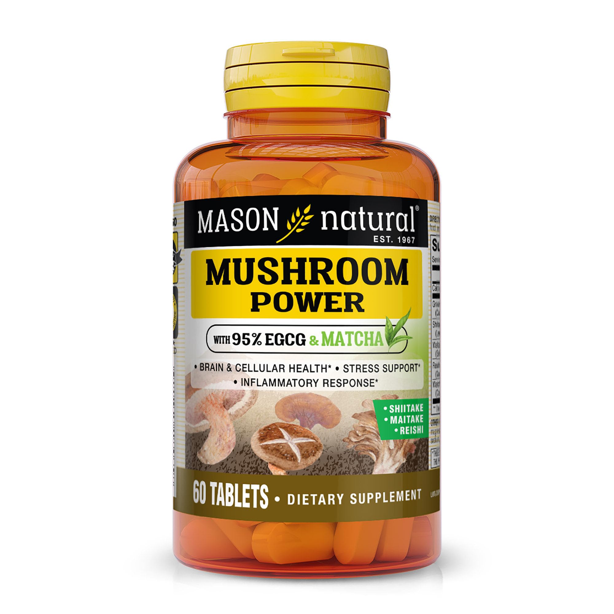 Mason Natural mushroom power tablets