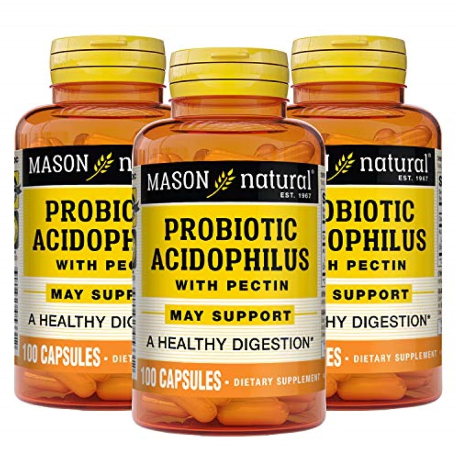 Mason Natural probiotics for digestive health