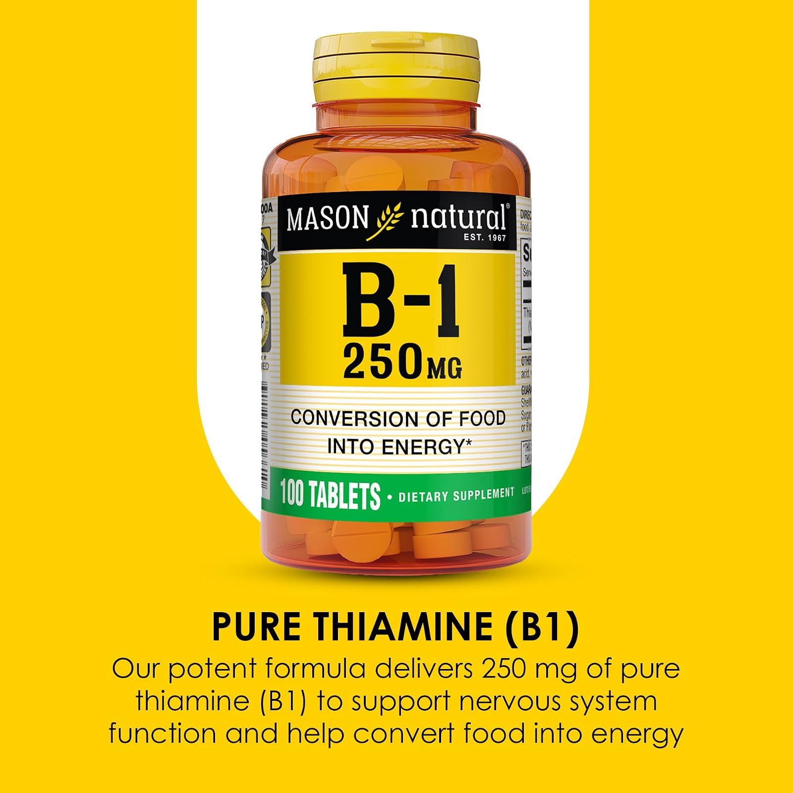 Mason Natural thiamine 250 mg supplement