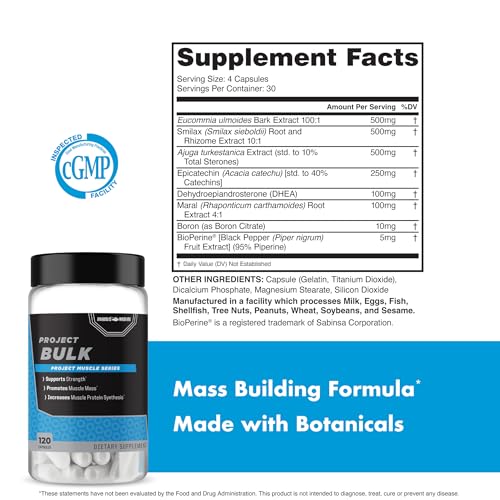 mass gain supplement for serious athletes