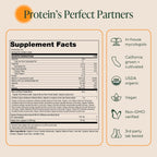 master blend vegan protein for athletes