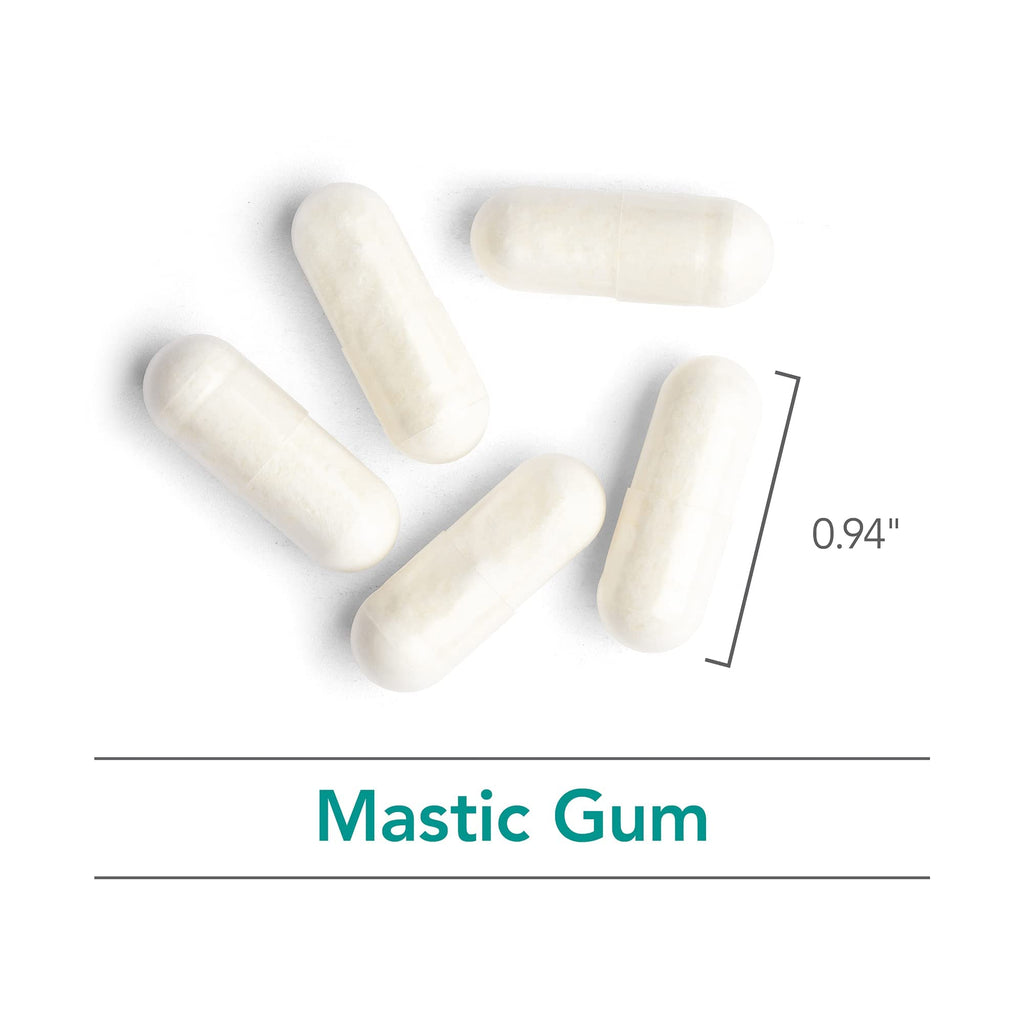 mastic gum for gut health