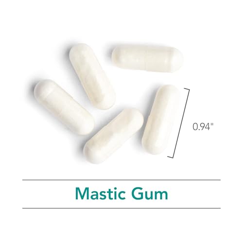 mastic gum for gut health