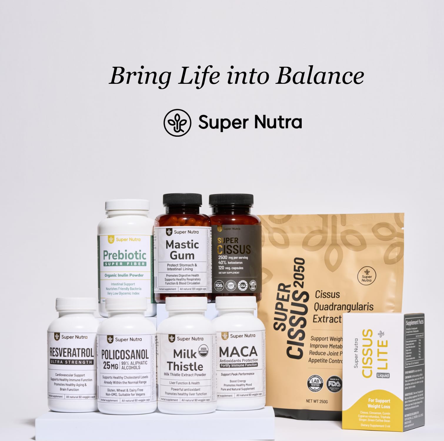 Mastic gum for healthy gut function
