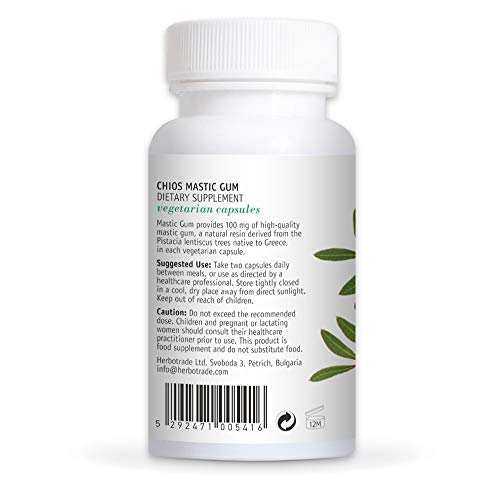 Mastic gum for immune support