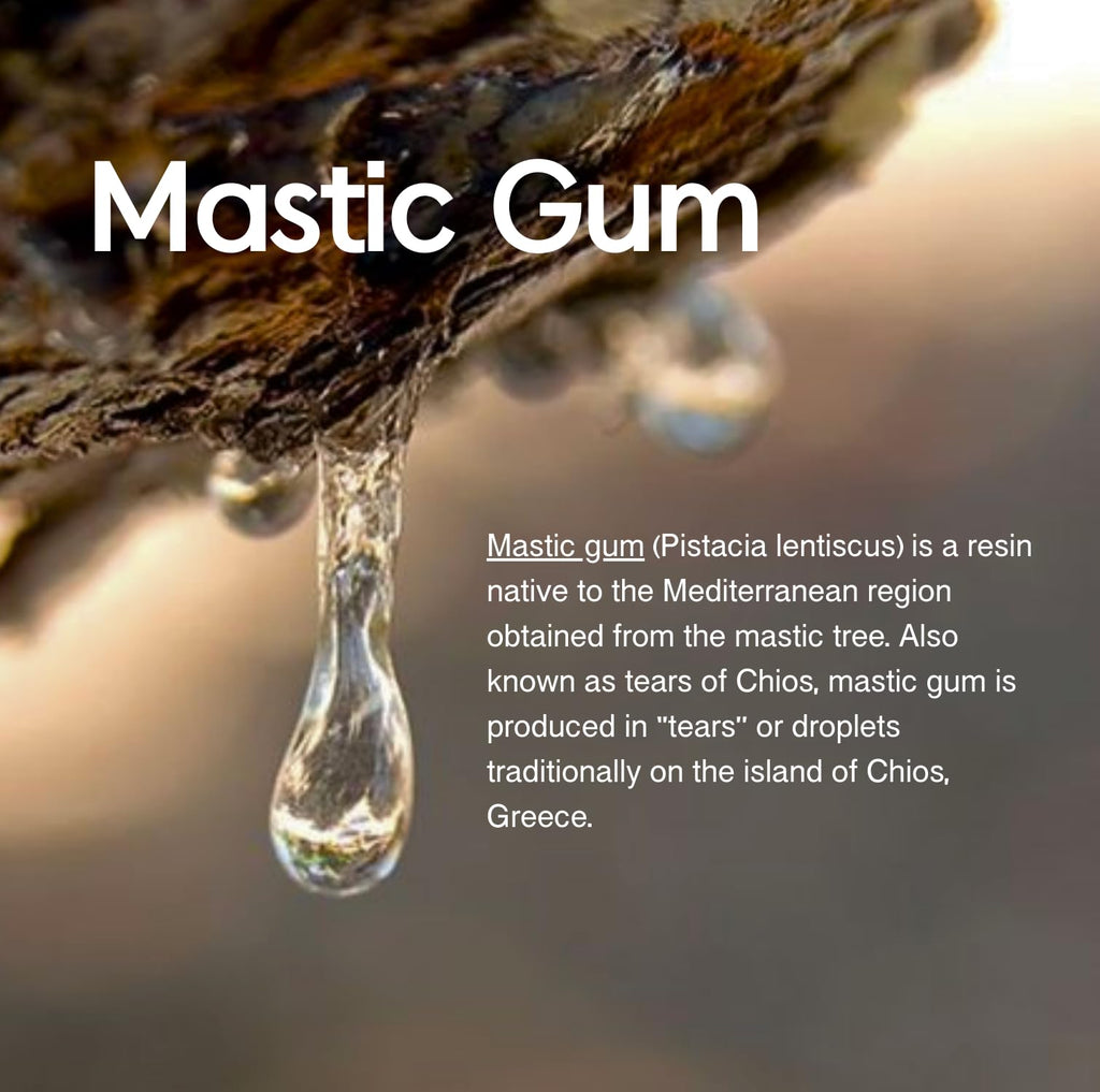 Mastic gum for overall vitality