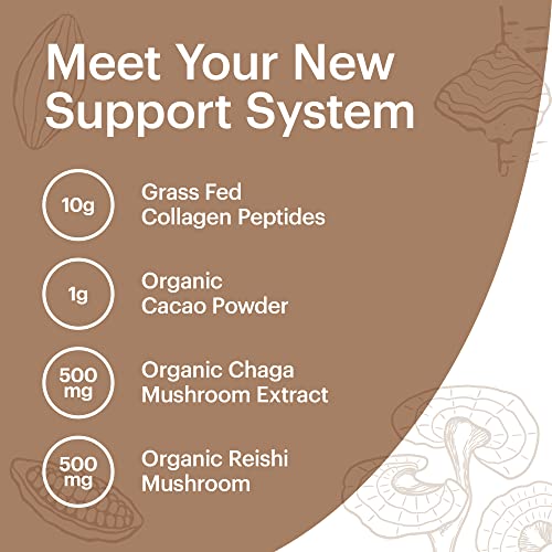 Matcha infused collagen powder