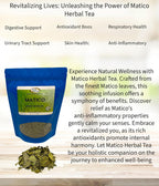 Matico tea for natural detox