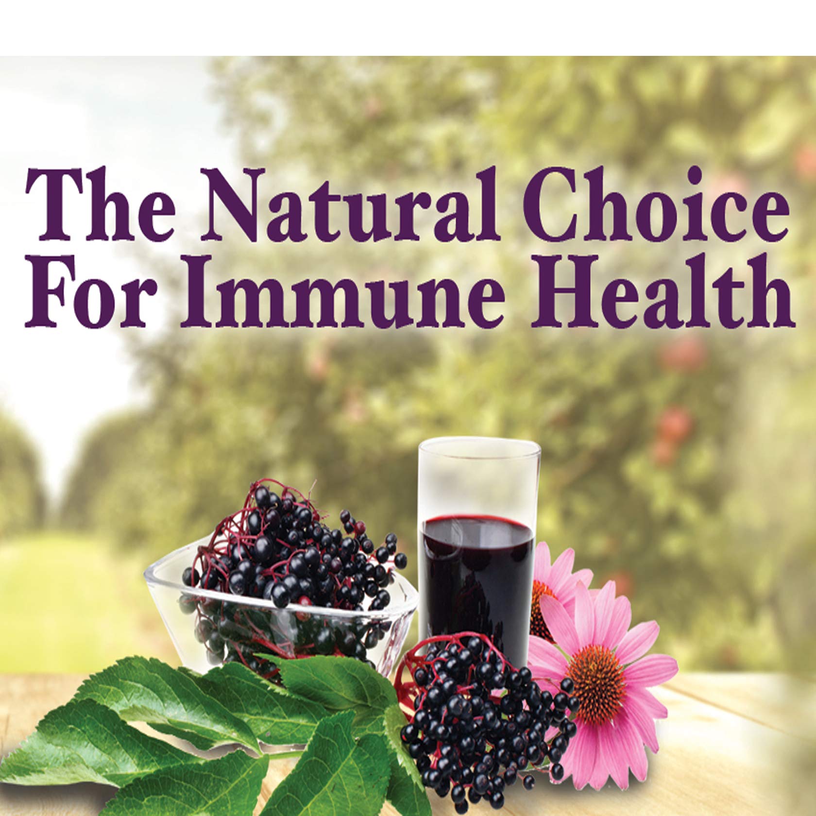 Mavvel elderberry syrup for holistic health