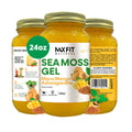 MAX FIT sea moss gel benefits
