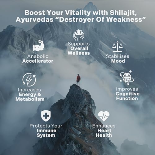 max potency shilajit supplement