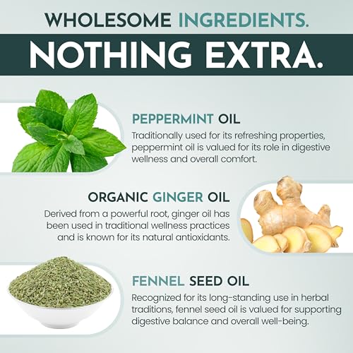 Maxi Health ginger oil benefits