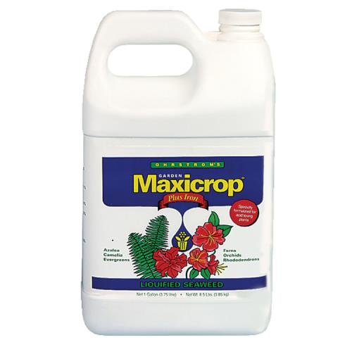 Maxicrop Liquid Seaweed for plants