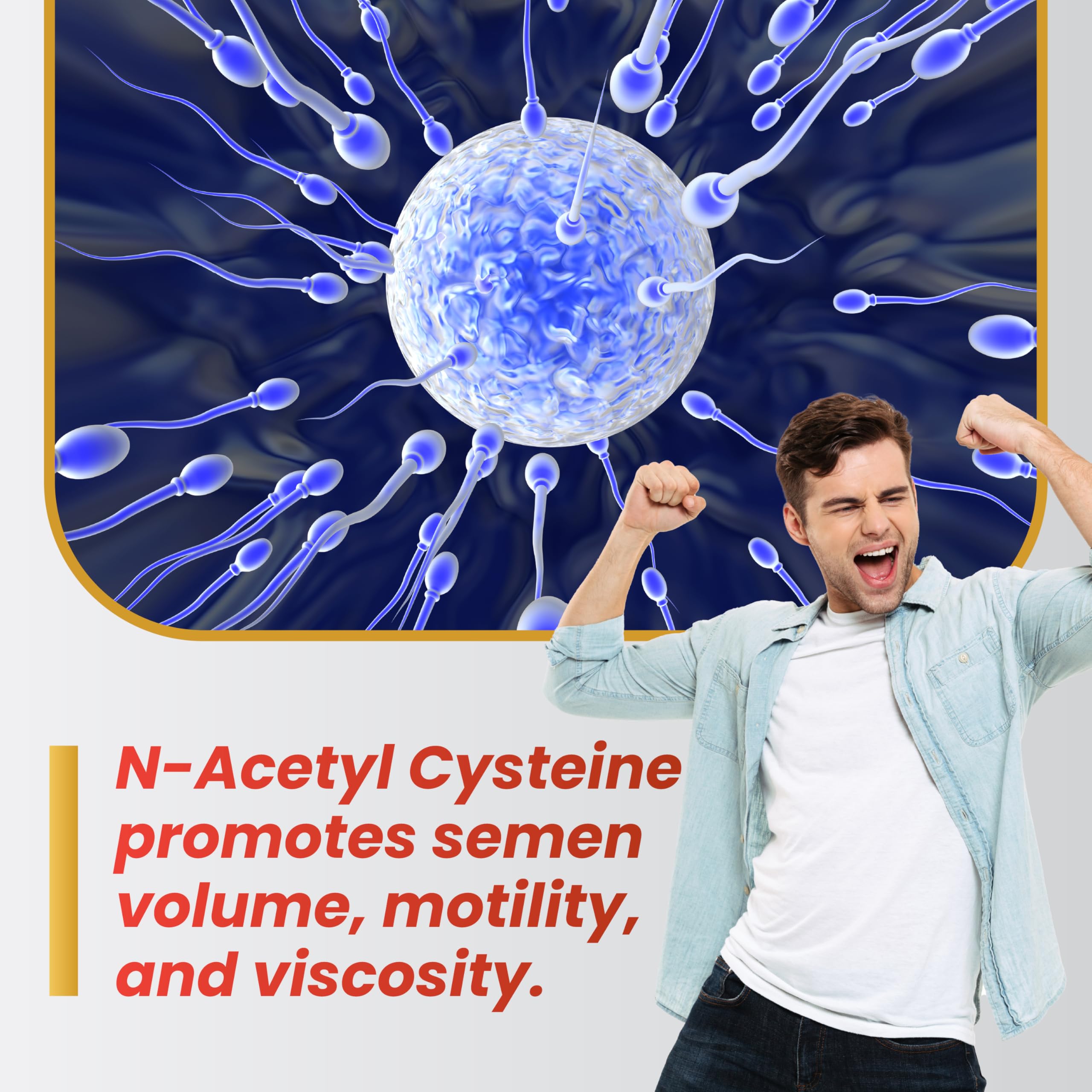 maximize sperm motility with nutrients