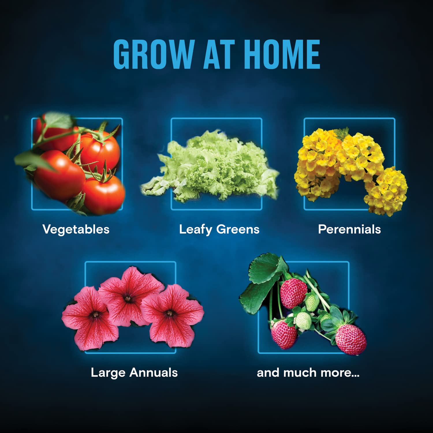 maximize yield with Cal-Mag formula
