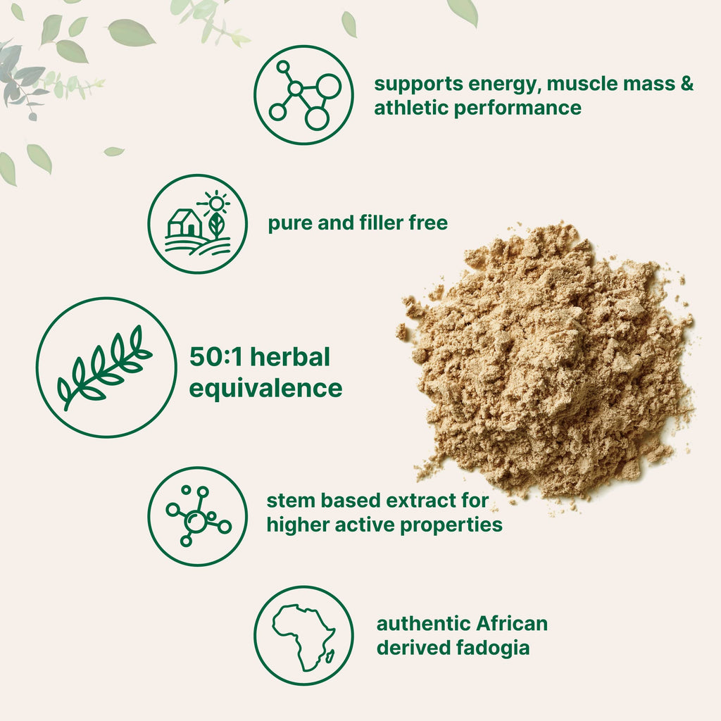maximum strength Fadogia Agrestis extract