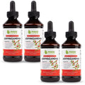 Maxx Herb ashwagandha root extract benefits