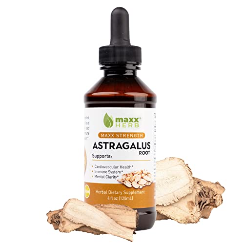 Maxx Herb astragalus root extract benefits