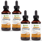 maxx herb astragalus root extract benefits