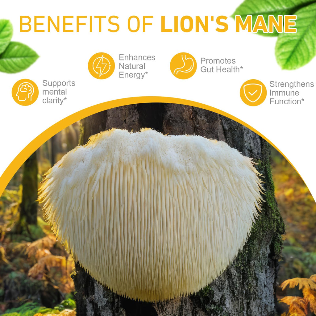 MAYPJHEH Lion's Mane liquid supplement