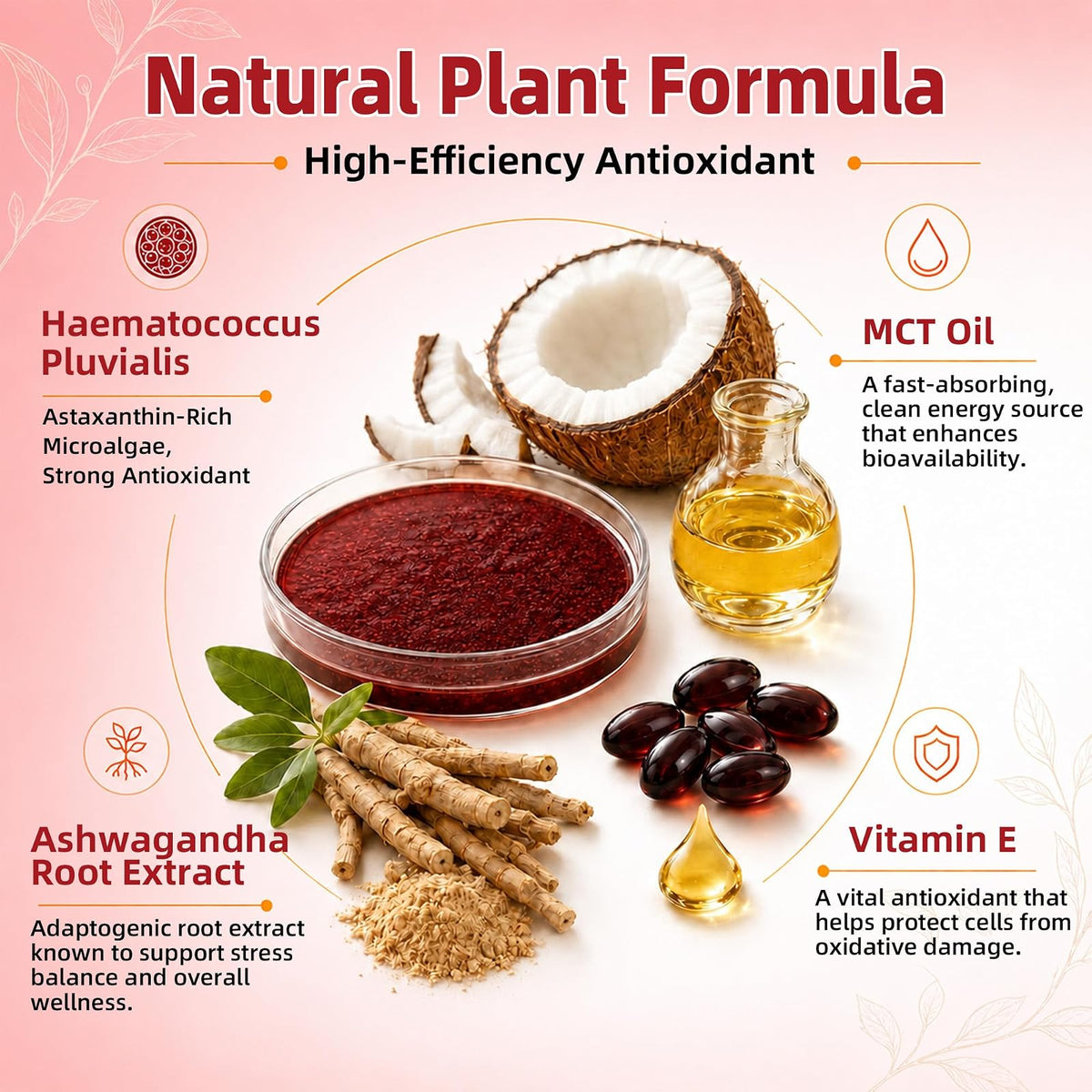 MCT oil infused antioxidant supplement