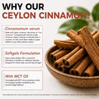 MCT oil infused cinnamon capsules