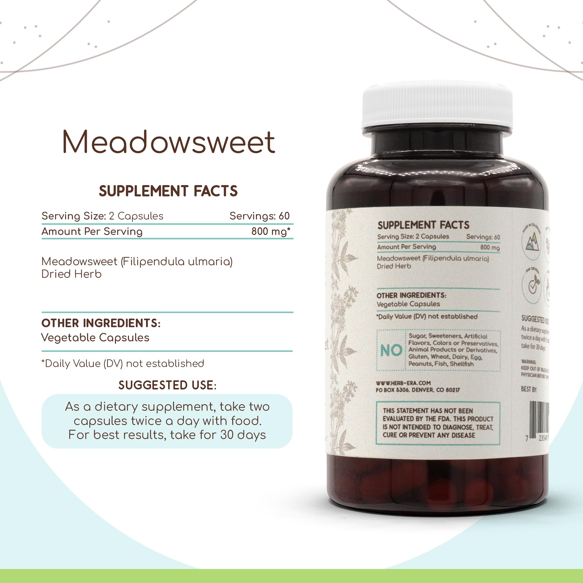 Meadowsweet capsules for immune support